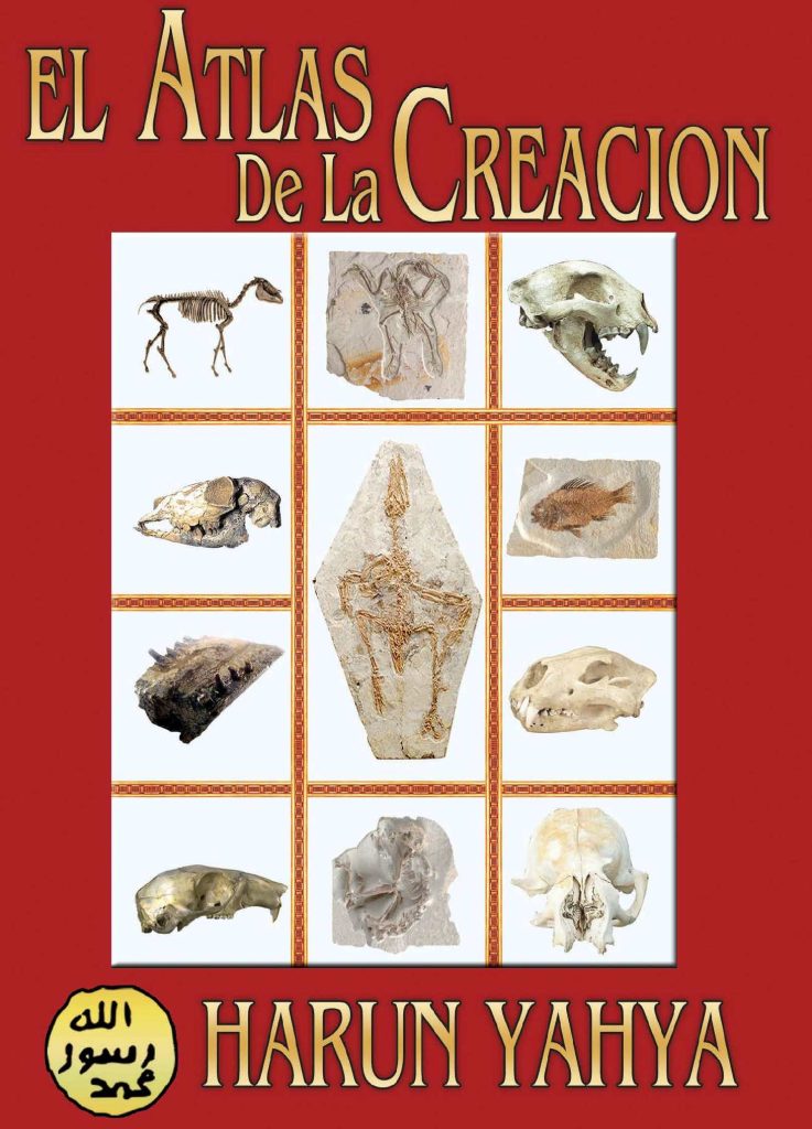 Explorando el Periodo Silúrico: Un viaje en el tiempo hacia la ...