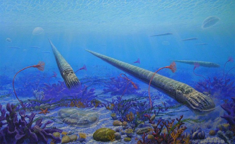 El Eón Hádico: Los Primeros Pasos de la Tierra, el Origen de Nuestro ...