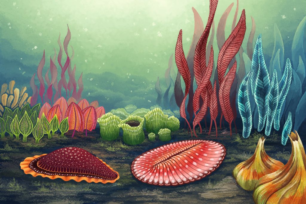 El Eón Proterozoico: Un Milenio de Transformaciones Geológicas